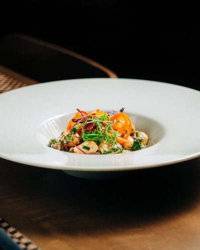 Case Studies - Ovation Up